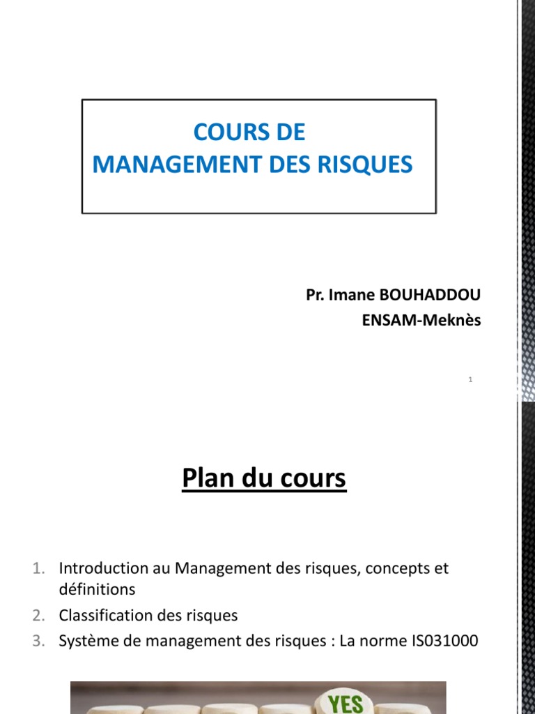 COURS Management de RISQUES V3 | PDF | Risque | Gestion des risques