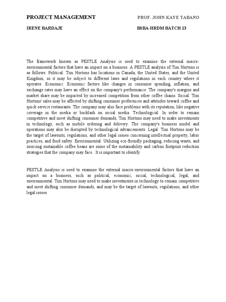 Irene Bardaje Pestle | PDF