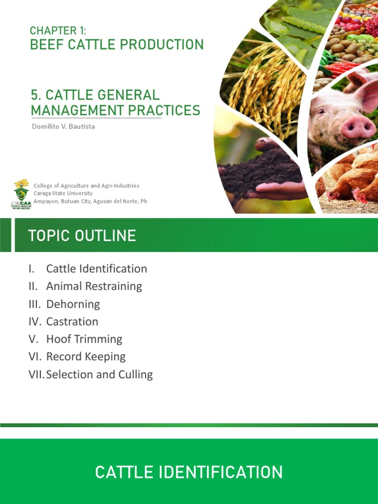 5-6. General Management Practices and Animal Health Program - PDF | PDF ...