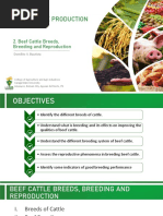 Principle of Animal Breeding | PDF | Genetics | Ploidy