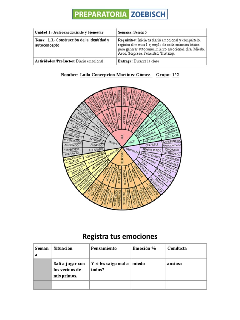 6 - Diario de Emociones | PDF