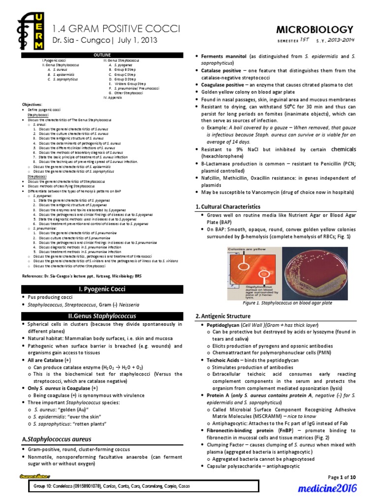 Characteristics and Pathogenic Properties of Common Gram Positive Cocci ...