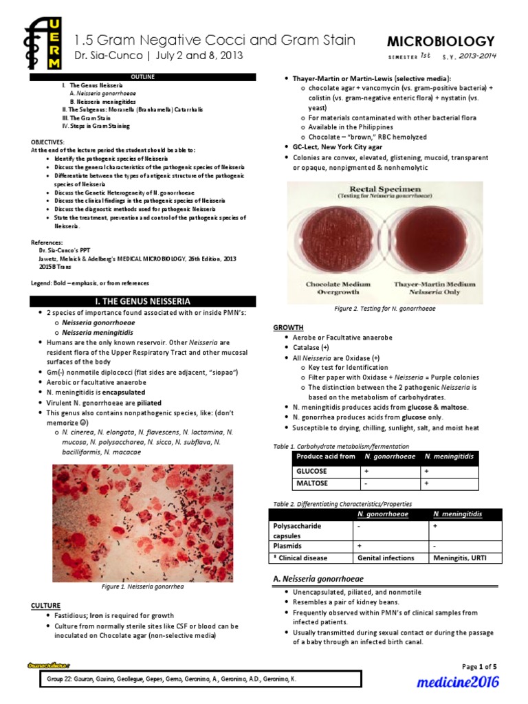 Microbiology 1.5a Gram Negative Cocci and Gram Stain - Dr. Sia-Cunco ...