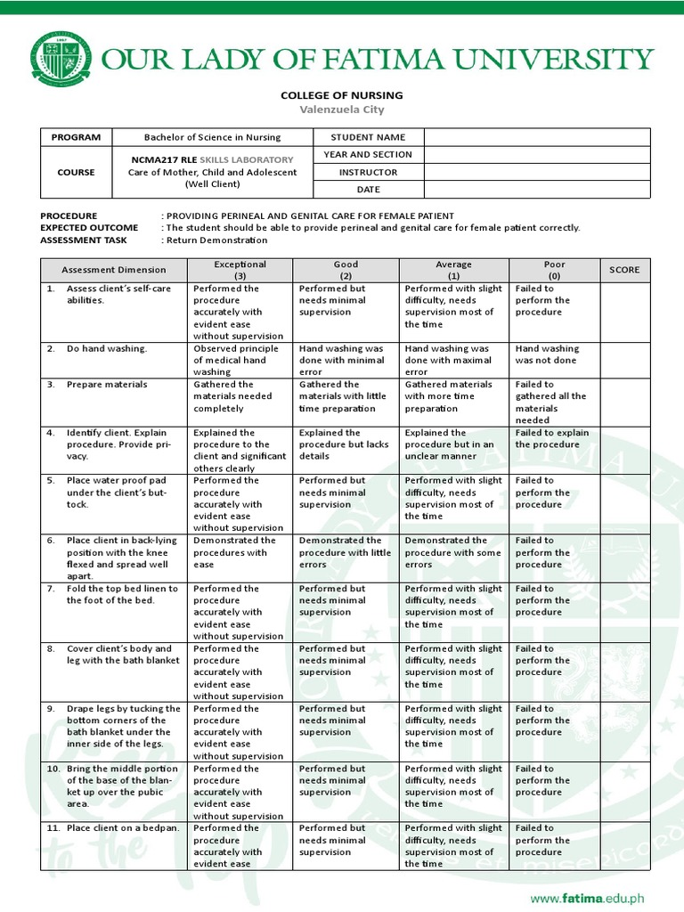 Rubrics Perineal and Genital Care For Female Patient | PDF | Labia ...