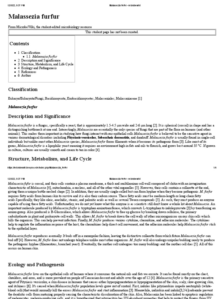 Malassezia Furfur - Microbewiki PDF | PDF | Cell (Biology) | Eukaryotes