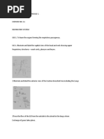 Respiratory System Study Guide | PDF | Exhalation | Respiratory Tract