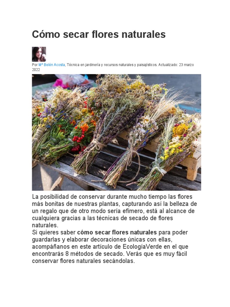 Cómo Secar Flores Naturales Pdf Papel