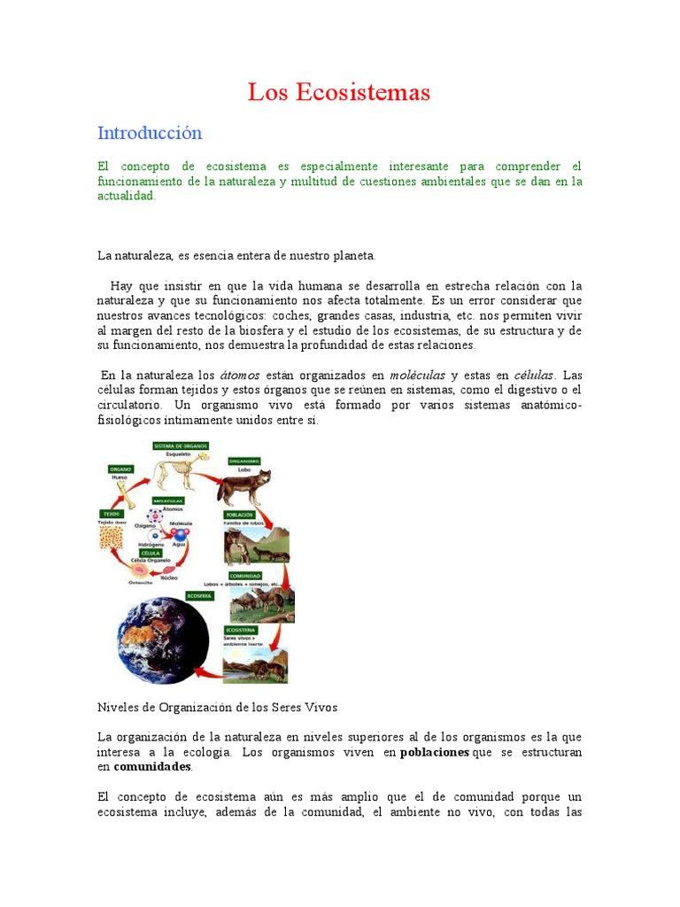 Los Ecosistemas | PDF | Red alimentaria | Ecosistema