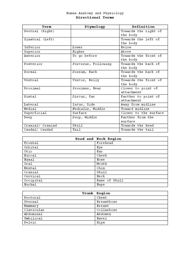 Anaphy DirectionalTerms | PDF | Anatomical Terms Of Location | Pelvis