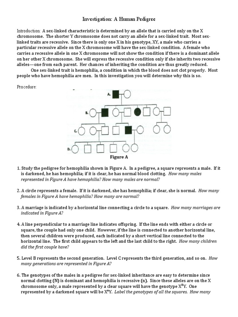 Hemophilia Pedigree Analysis Guide | PDF | Genotype | Dominance (Genetics)