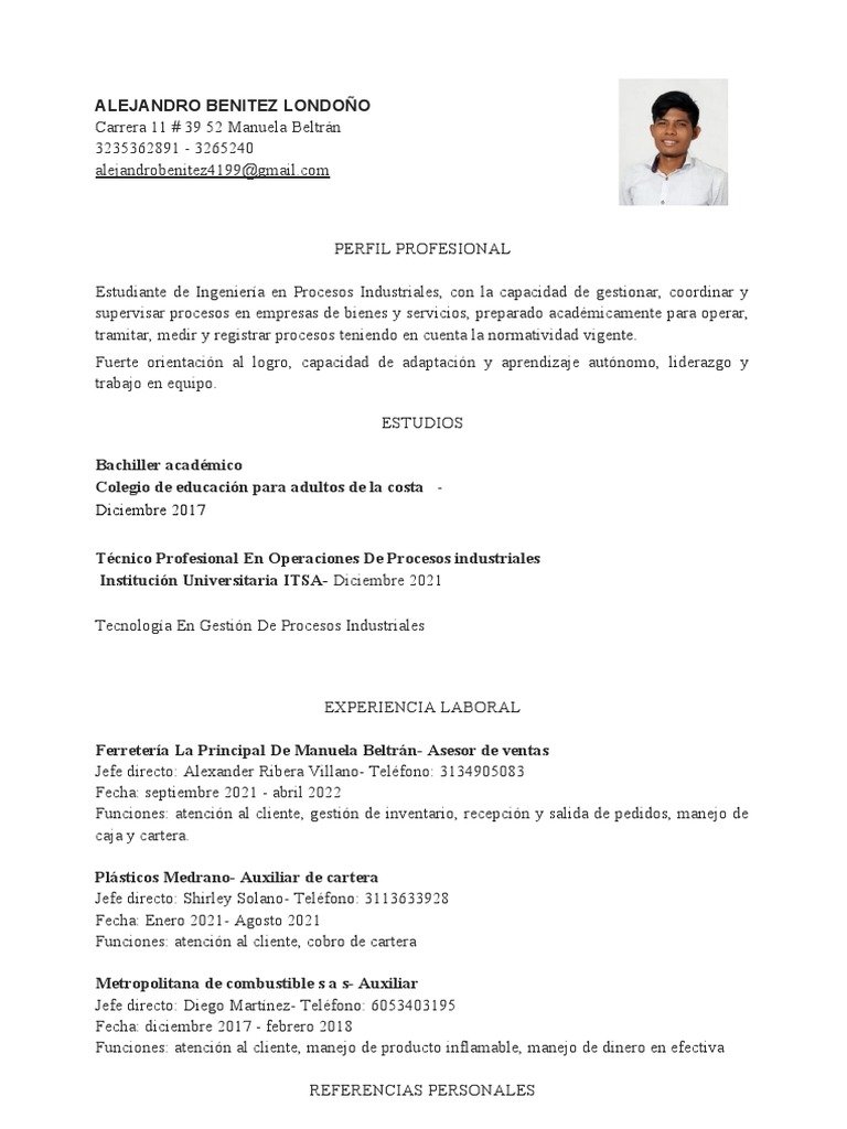 Hoja de Vida Alejandro Benitez | PDF