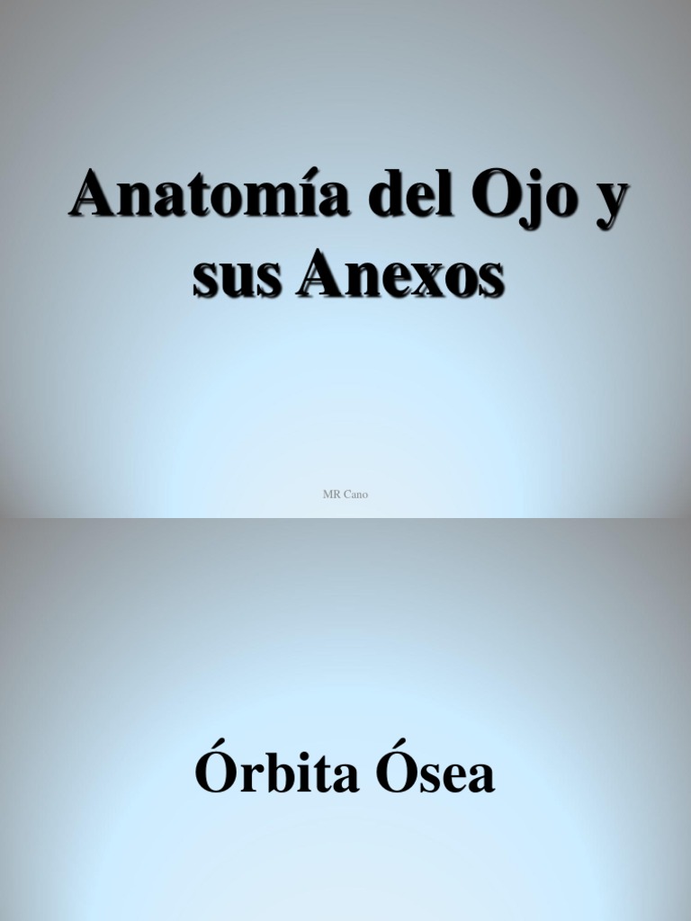 Anatomía Del Ojo y Anexos PDF | PDF | Anatomía humana | Cabeza y cuello ...