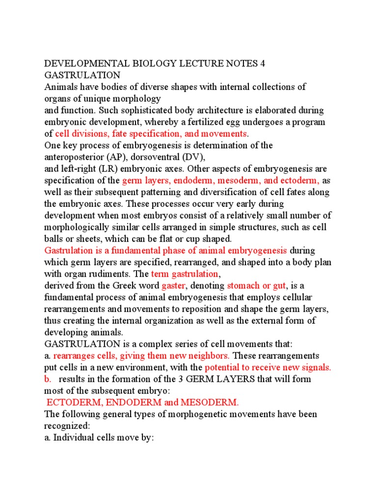 Developmental Biology Lecture Notes 4 | PDF | Embryo | Developmental ...
