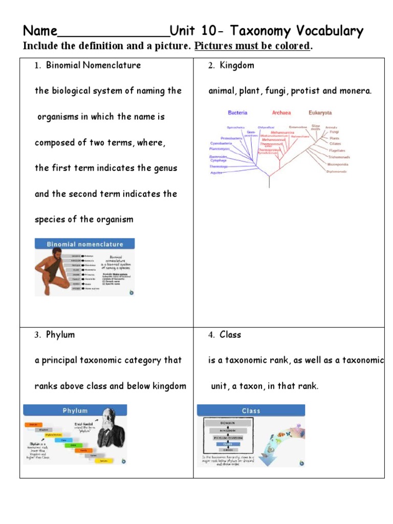 Unit 10 Taxonomy Vocab | Download Free PDF | Taxonomy (Biology) | Organisms