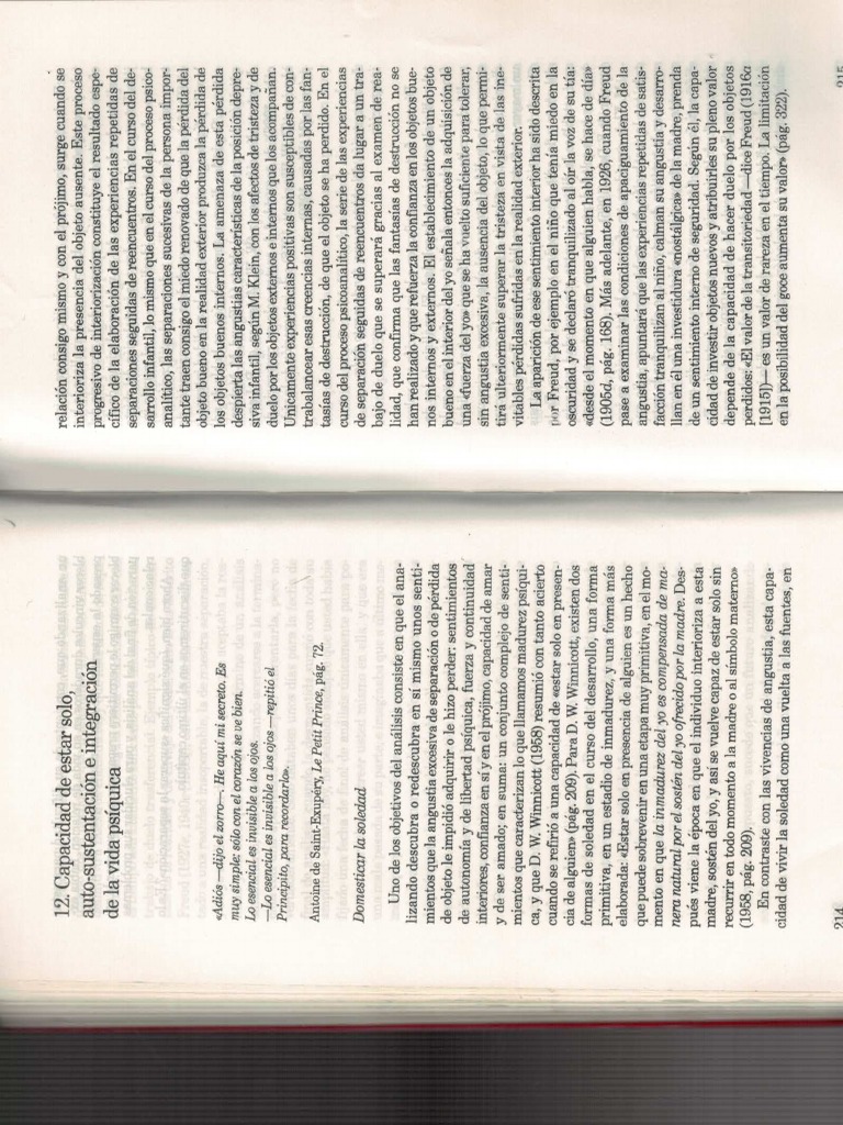 Quinodoz Soledadom Cap12-1 | PDF