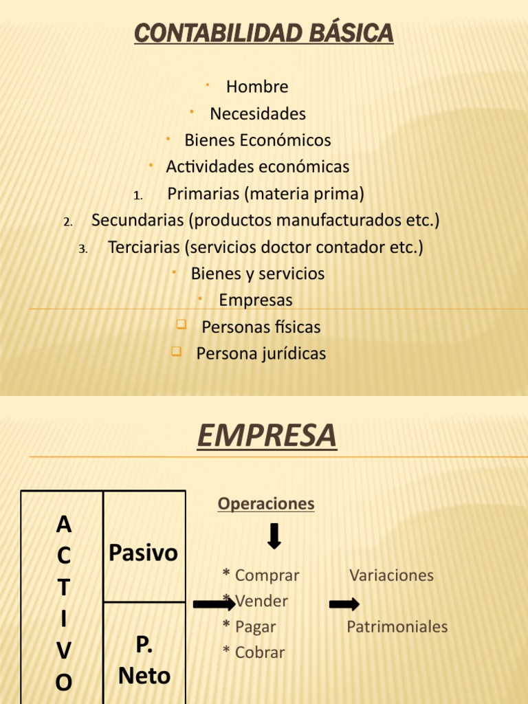 Introducción a la Contabilidad Básica | PDF