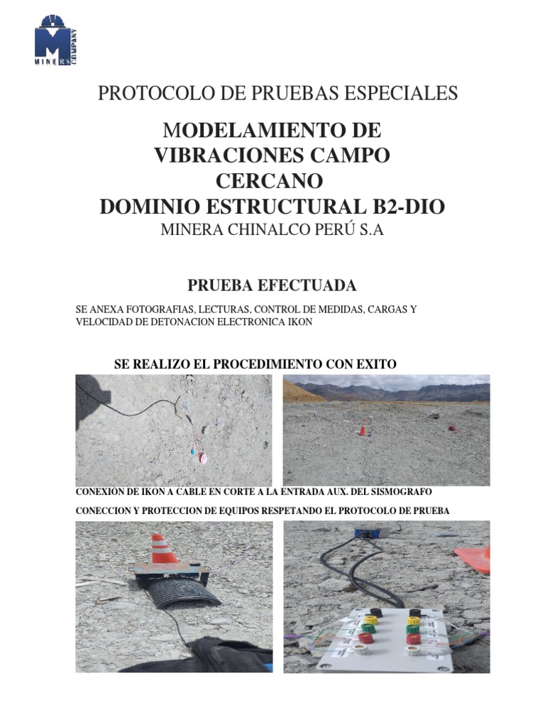 Protocolo de Pruebas Especiales PDF | PDF