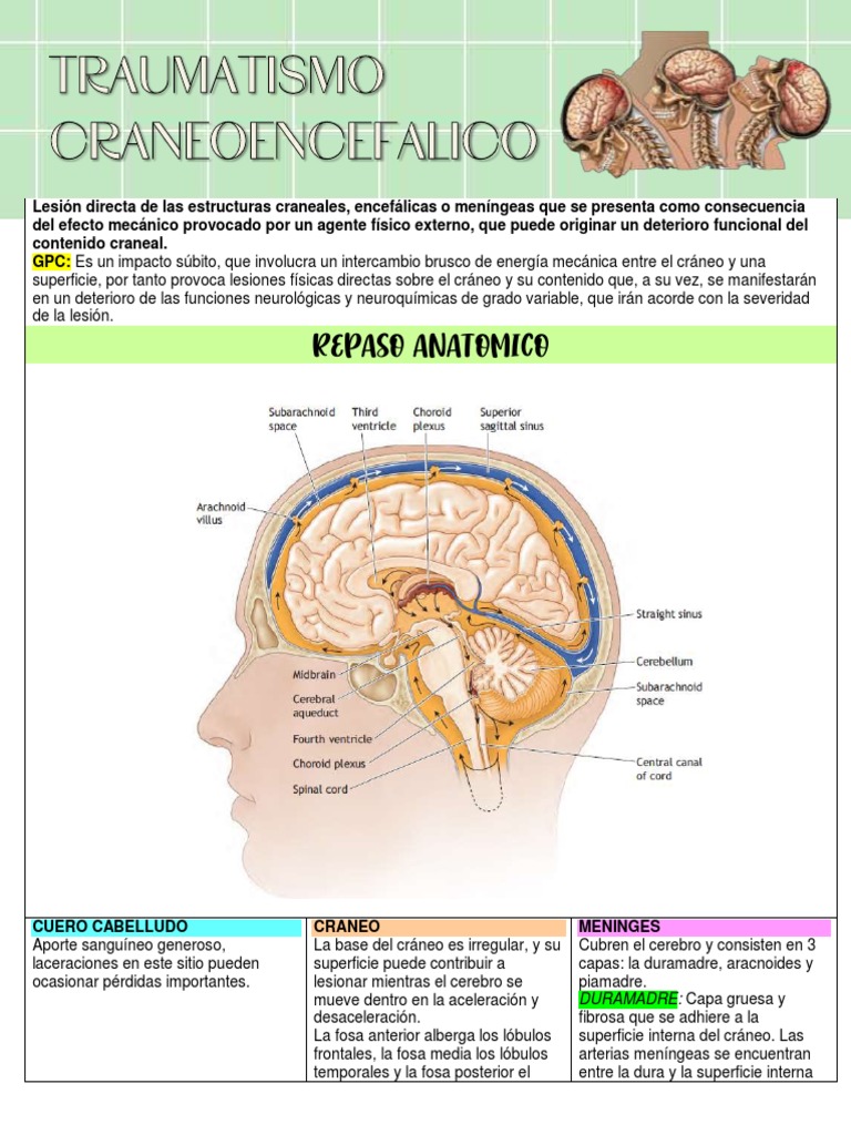 Traumatismo Craneoencefalico | PDF | Lesión cerebral traumática ...