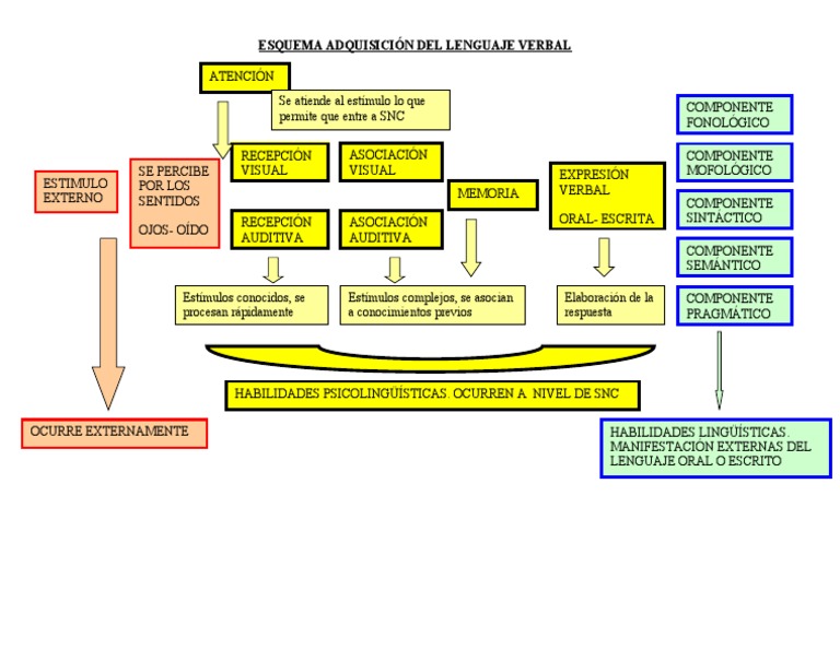 Esquema Adquisiciã"n Del Lenguaje Verbal | PDF