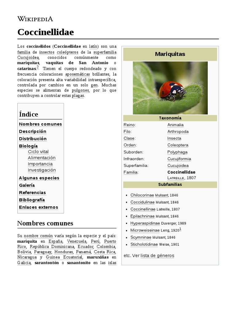 Coccinellidae Pdf Pdf Coccinellidae Organismos