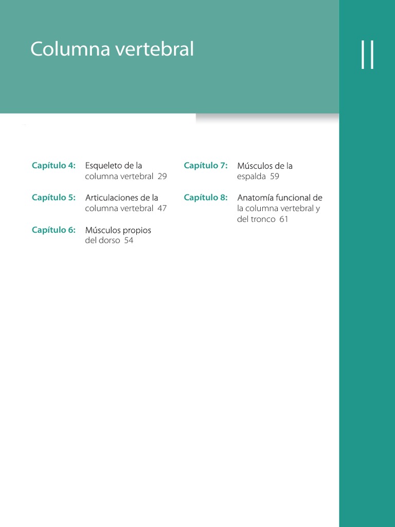 Latarjet - Cap 4 y 5 - Columna Vertebral PDF | Descargar gratis PDF | Vértebra | La columna ...
