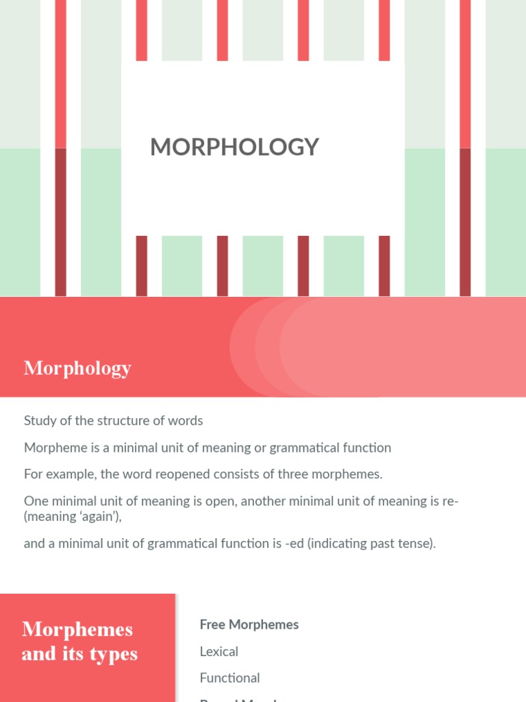 Morphological Analysis: An In-Depth Look at the Structure of Words ...