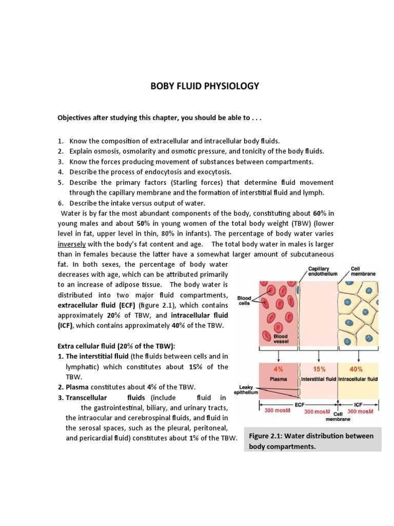 Body Fluids Fluid Physiology Notes | PDF | Capillary | Lymph