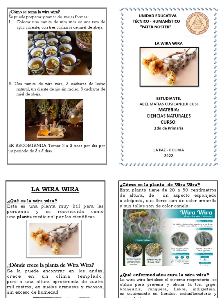 Beneficios y Preparación de Wira Wira | PDF