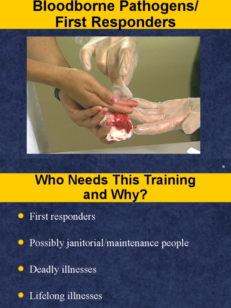 Bloodborne Pathogens Training Guide | PDF | Hepatitis | Hiv/Aids