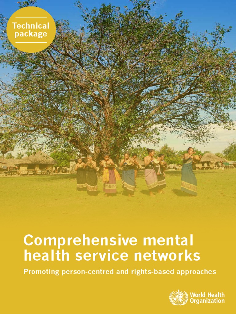 Comprehensive Mental Health Service Networks | PDF