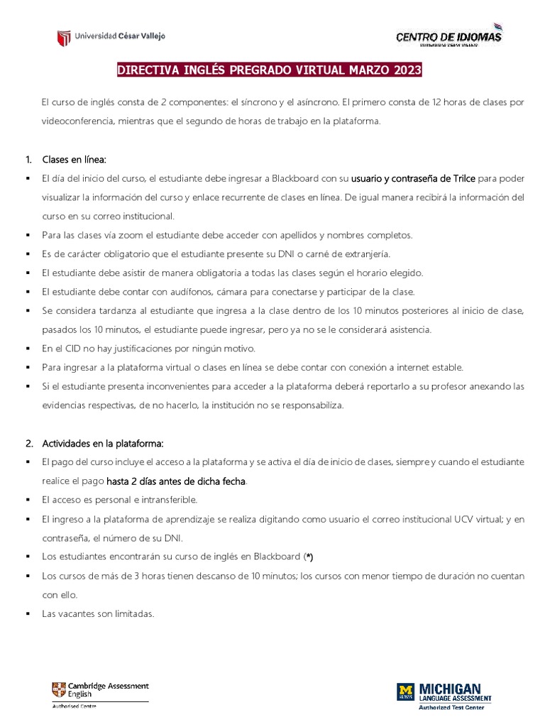 Cid Directiva Ingles Virtual | Descargar gratis PDF | Informática