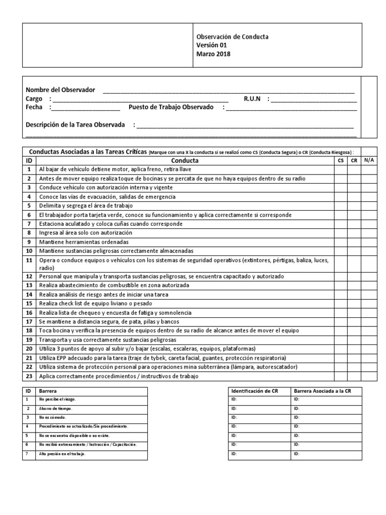 Hoja de Observación de Conductas | PDF