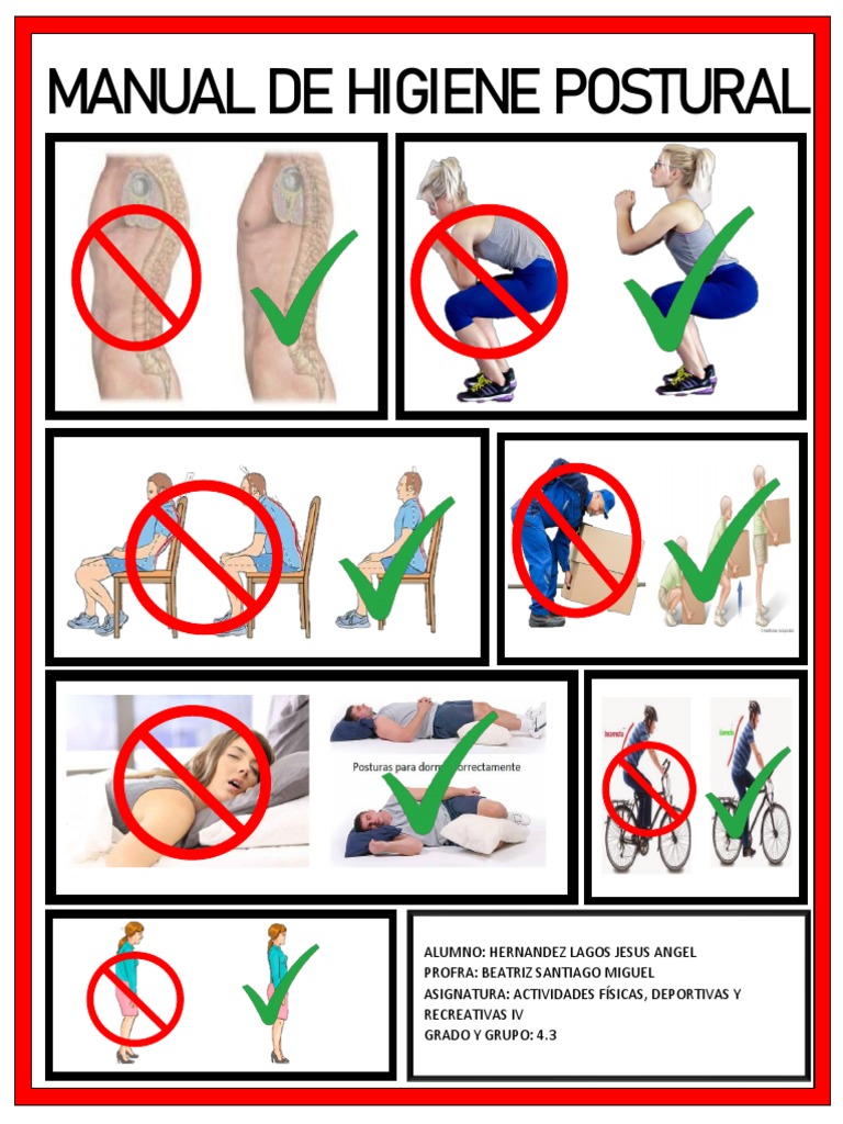 Manual de Higiene Postural | PDF