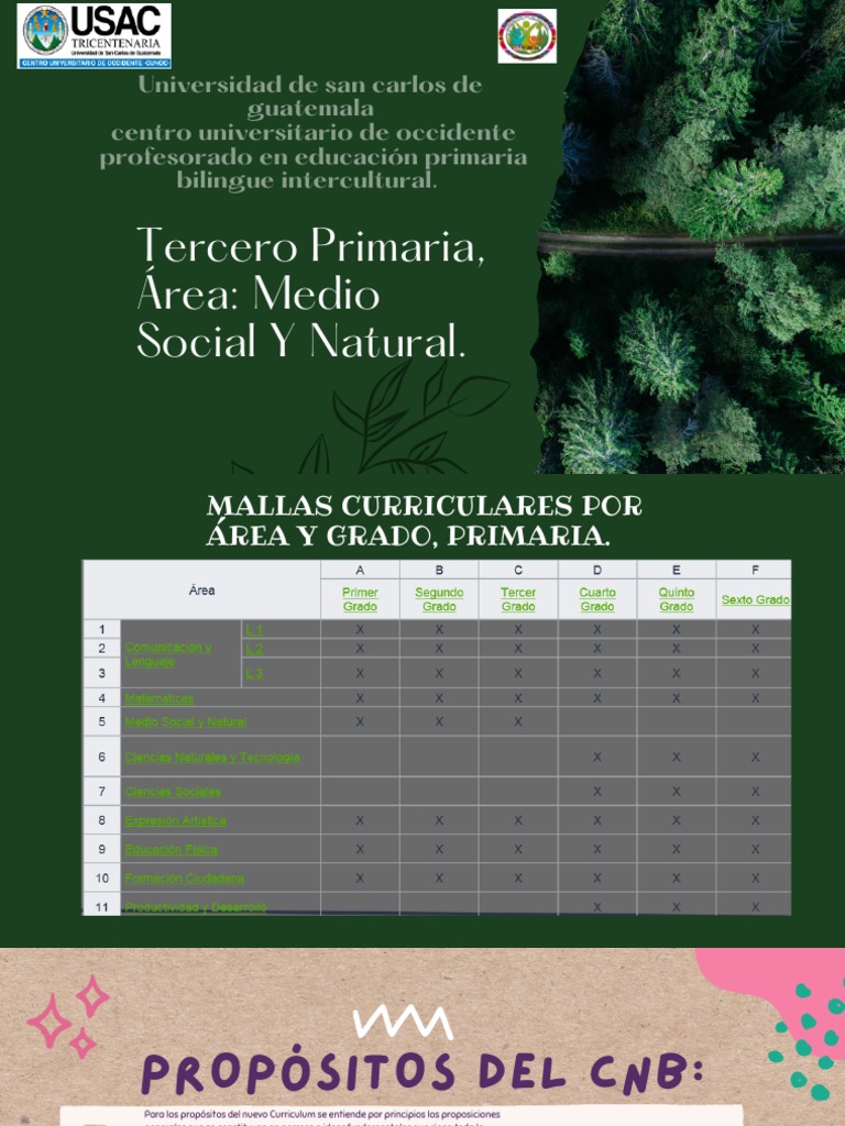 Análisis de Curriculo Nacional Base CNB PDF | PDF | Plan de estudios | Aprendizaje