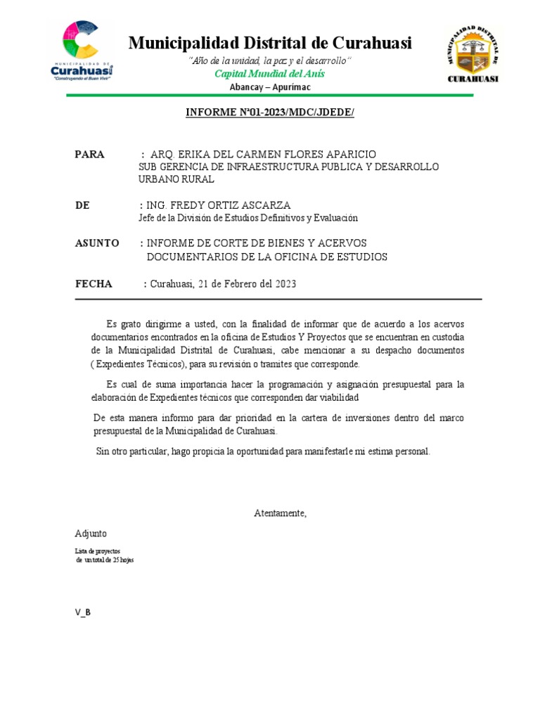 Modelo de Informe | PDF