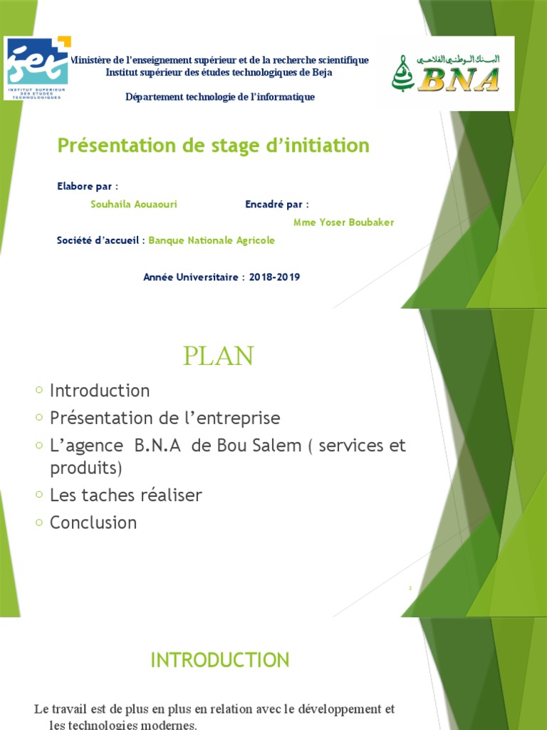 Présentation de Stage Dinitiation | PDF | Banques | Virement bancaire