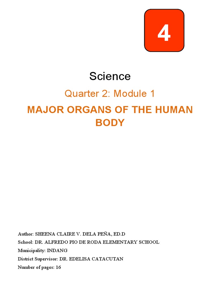 Human Body System Module 2 | PDF | Human Body | Digestion