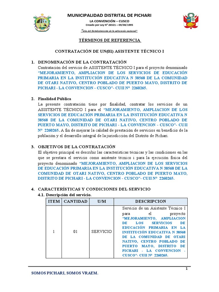 TDR Asistente Tecnico I | PDF