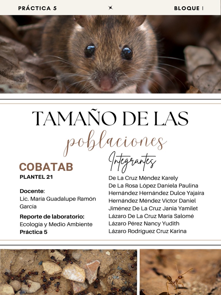 Practica 5. LDE PDF | PDF | Hormiga | Alimentos