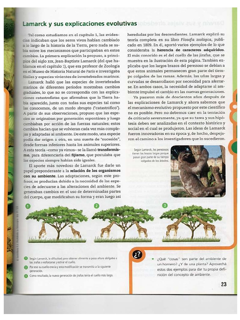 Evolución Según Lamarck y Darwin | PDF