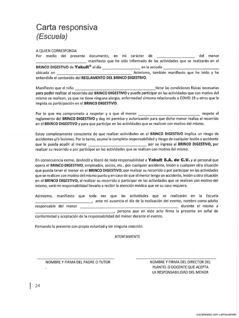 Carta Responsiva | PDF