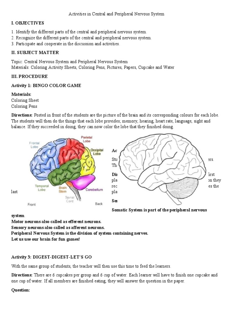 Activities in Central and Peripheral Nervous System | PDF | Nervous ...