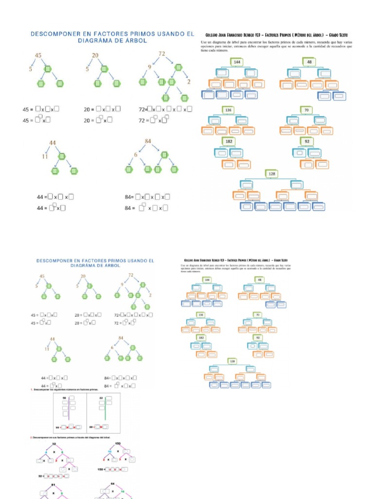 Descomposición en Factores Primos en Árbol | PDF