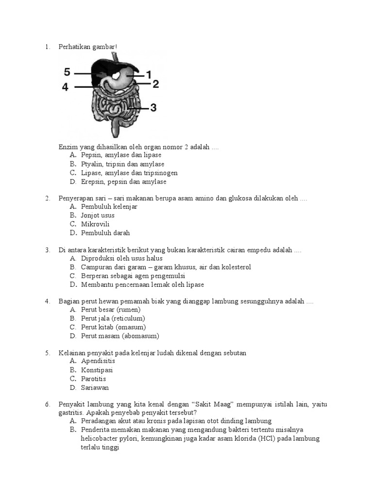 Soal Sistem Organ Manusia | PDF