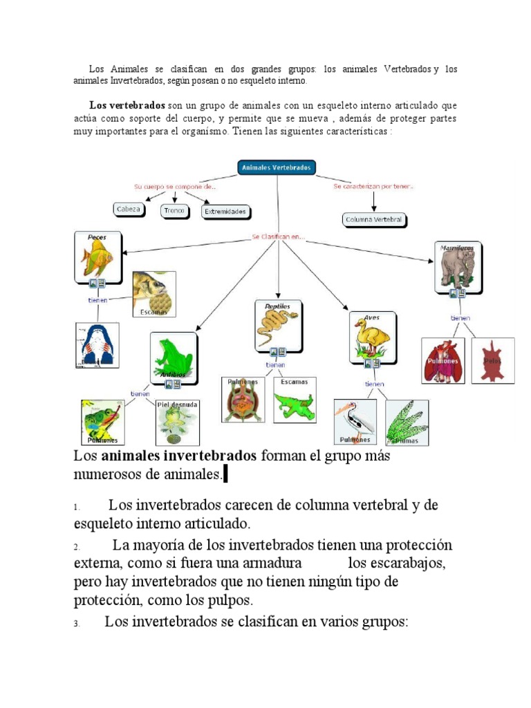 Clasificación de Animales: Vertebrados e Invertebrados | PDF