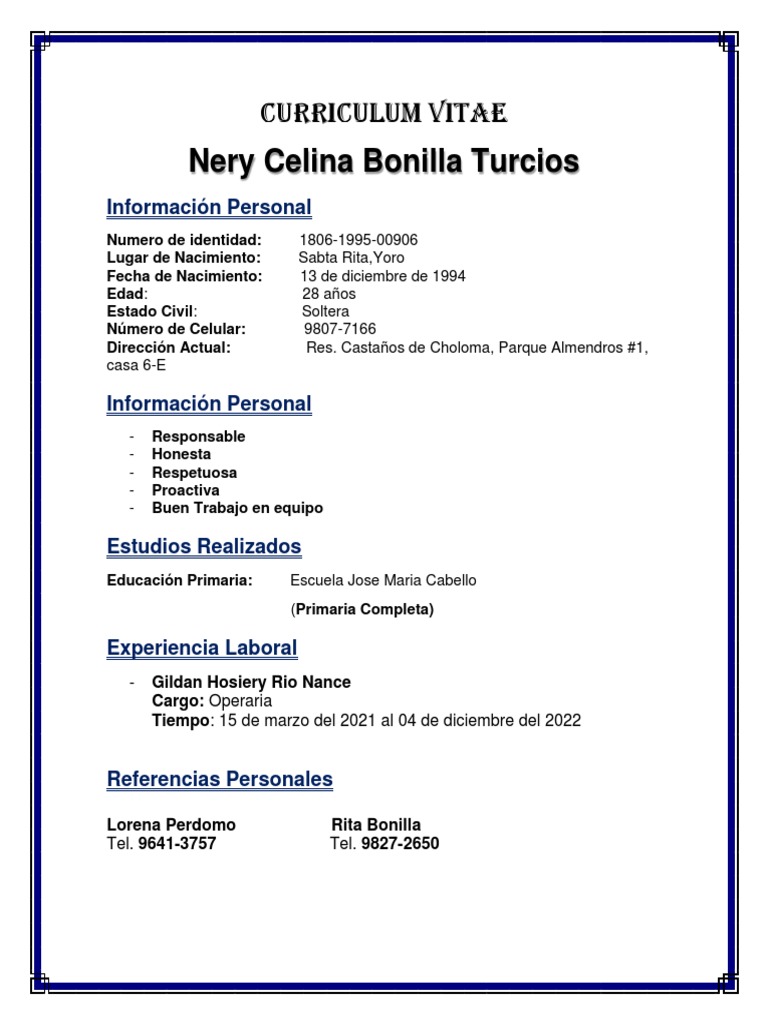 CV de Nery Bonilla 2023 | PDF