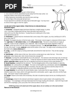 Rat Dissection Student Version | PDF | Small Intestine ...