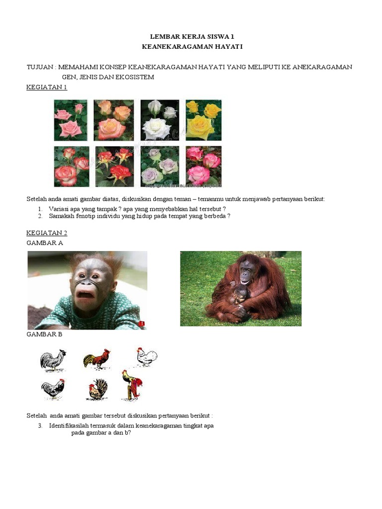 LKS KEANEKARAGAMAN HAYATI B PX | PDF | Pengembangan Diri