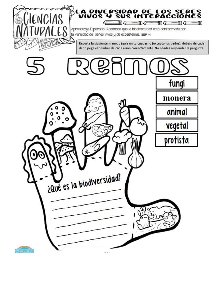 Actividades para Colorear los 5 Reinos | PDF