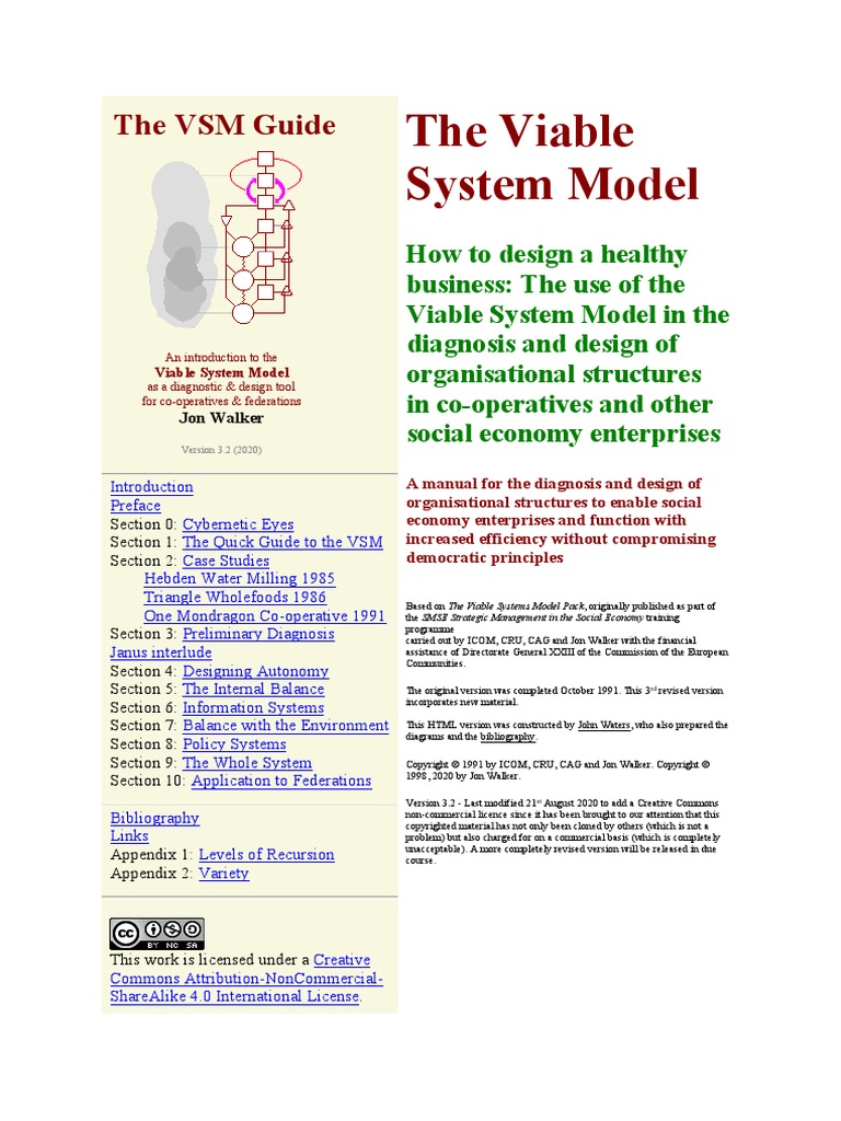 Walker The VSM Guide 3rd Edition 2020 | PDF | System | Cognitive Science